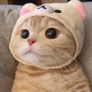 小y带你看世界 