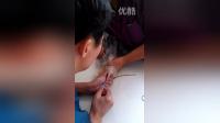 小型犬采血-武汉宠物医生临床操作
