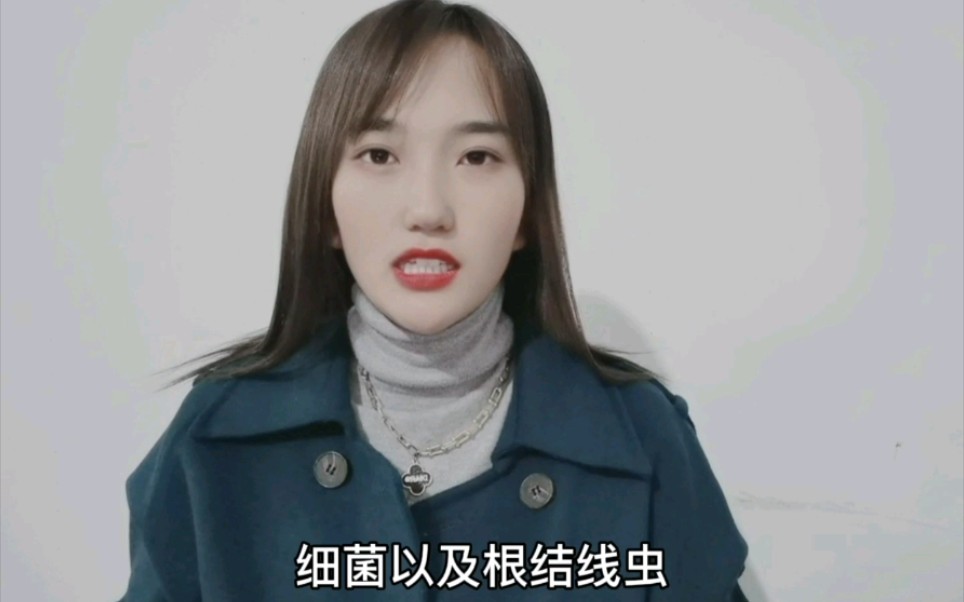 土壤熏蒸陷阱多,到底应该怎么选择产品呢?