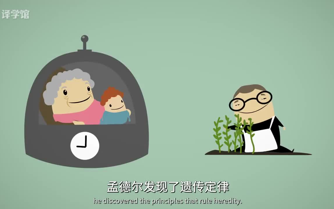 【生物动画】高中生物必修2 精选动画合集