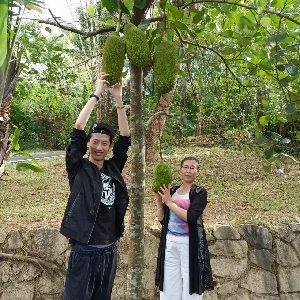 海南全球放心购 