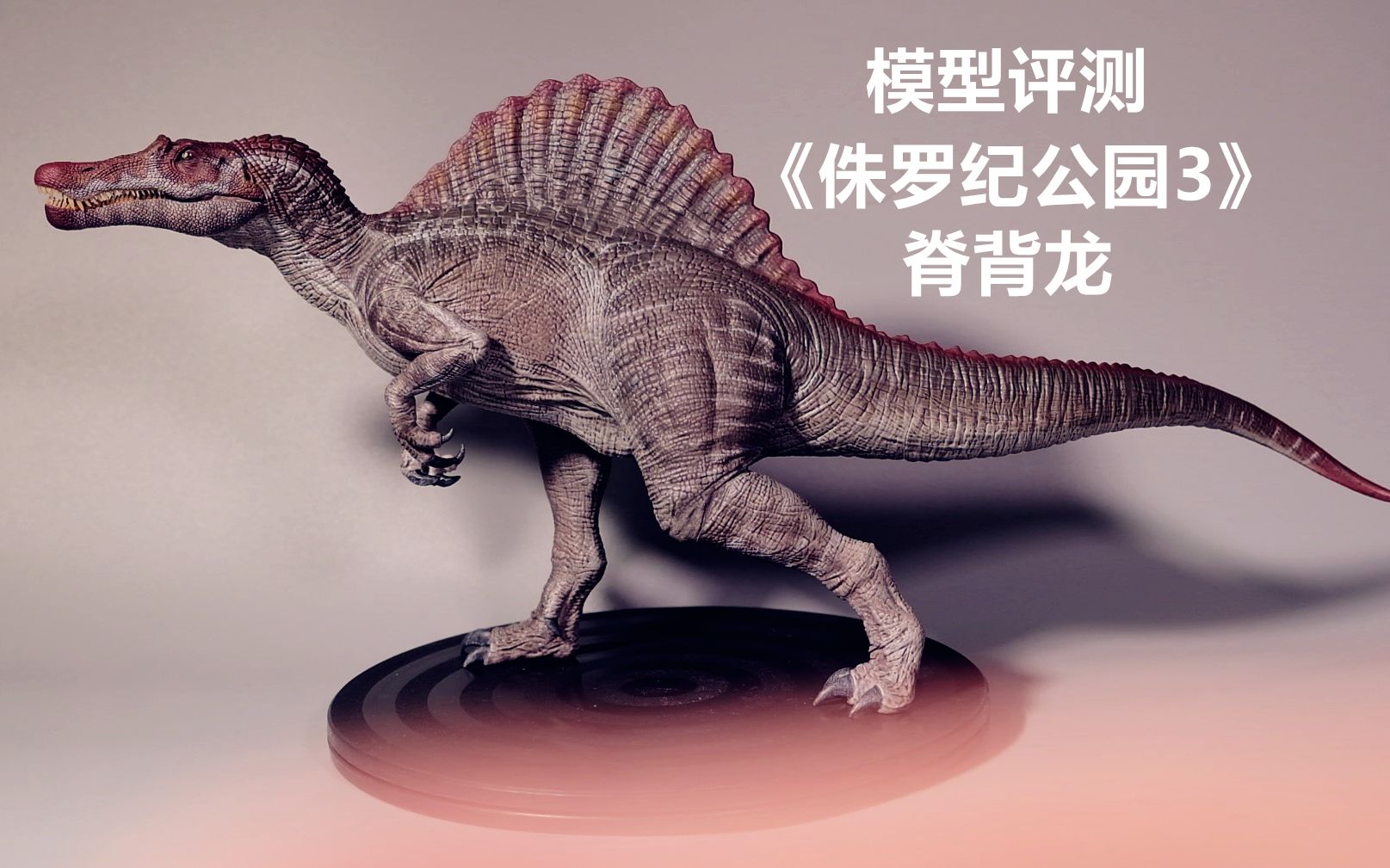 【本心楠改】脊背龙模型开箱评测 手握《侏罗纪公园3》里的大boss是...