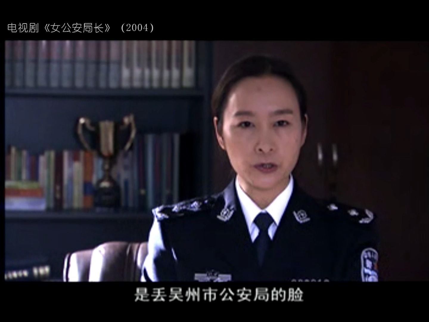 2004年电视剧《女公安局长》(奚美娟部分)