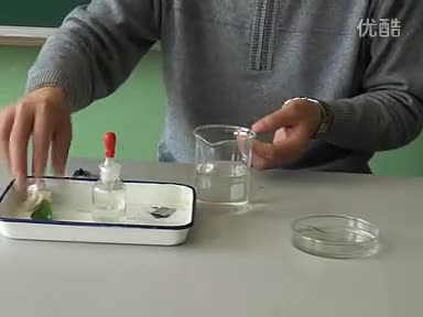 生物试题6 制作植物叶的临时切片