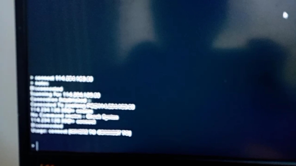我在玩Hacknet的时候任务失败了,就出现这种情况了,那位大佬知道怎么...