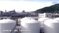 烟台万华聚氨酯股份有限公司 (SAP SRM)