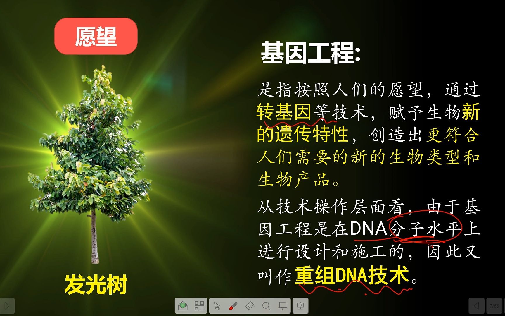 3.1 重组 DNA 技术的基本工具 第1节课