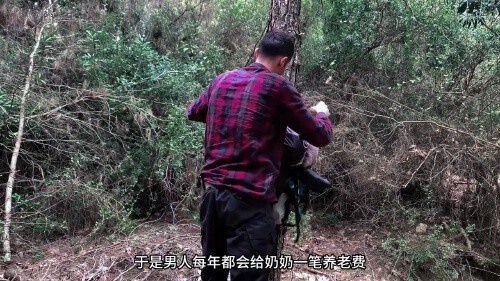 挑战荒野独居生活,搭建豪华三角形庇护所,利用锅盖做美味的食物