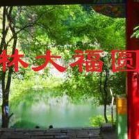 大福圆 