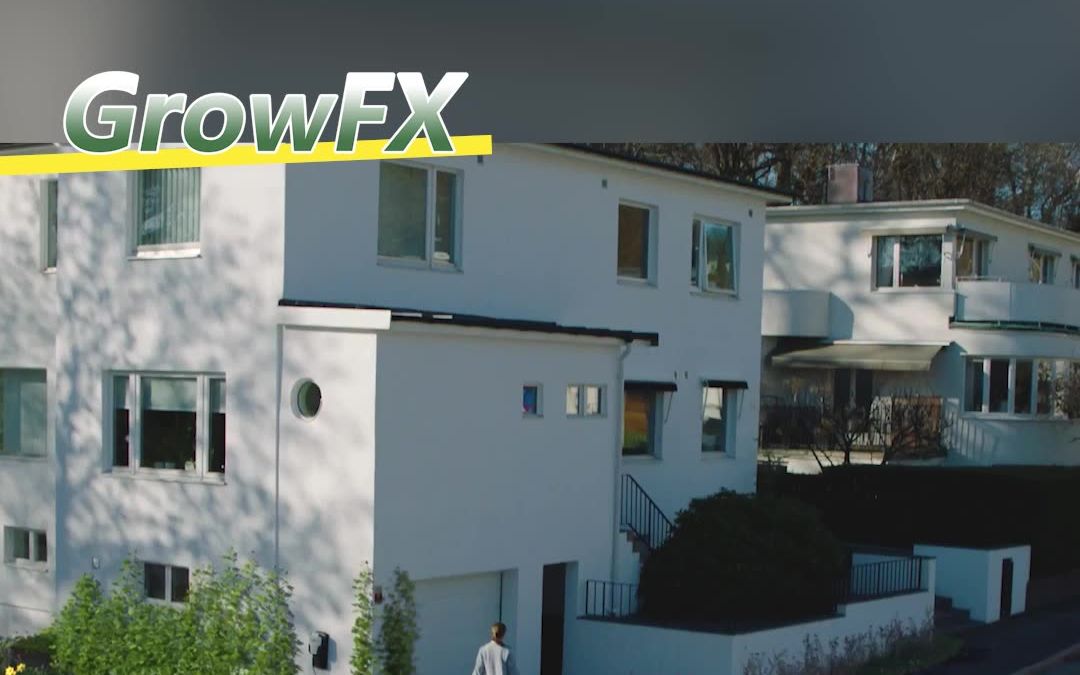 3Dmax植物生长插件,设计师必备。