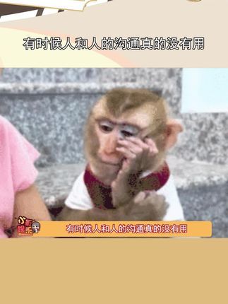 无效沟通石锤了!#内容过于真实 #沟通