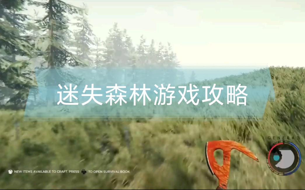 【游戏攻略】《迷失森林》游戏通关视频