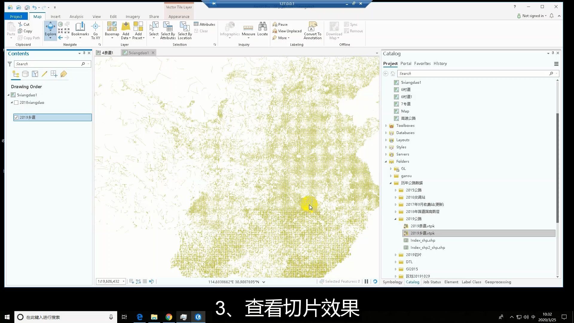 ArcGIS Pro导出全国乡道矢量切片完成过程及效果展示