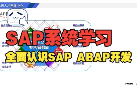 零基础学习SAP系统,SAP ABAP开发基础入门课程