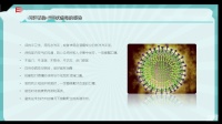 安全教育-预防新型冠状病毒