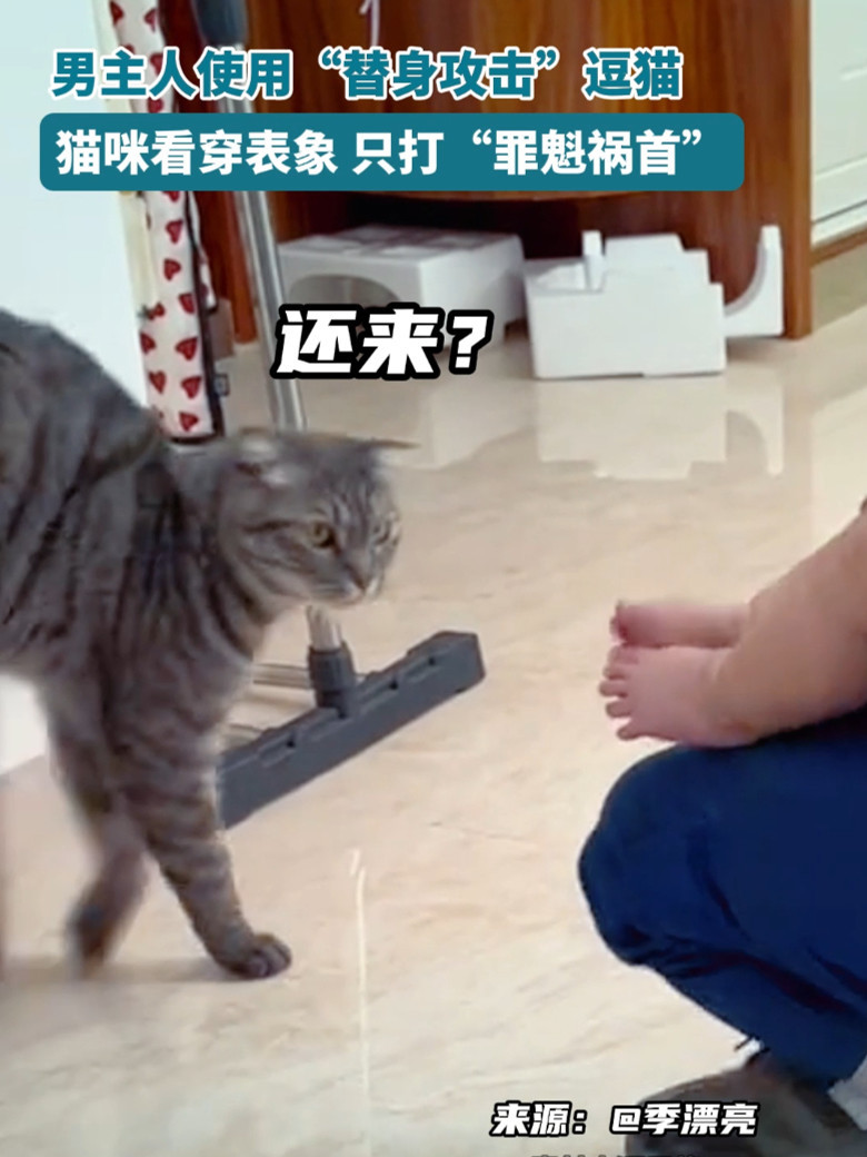 瞒得了我吗?你那点小动作在我眼里跟PPT似的