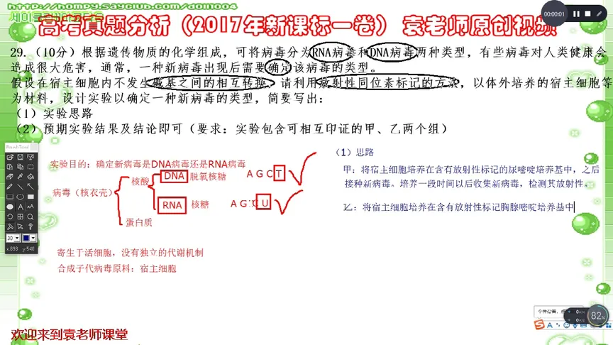 如何确定一种新病毒是RNA病毒还是DNA病毒?(2017国一卷29题)