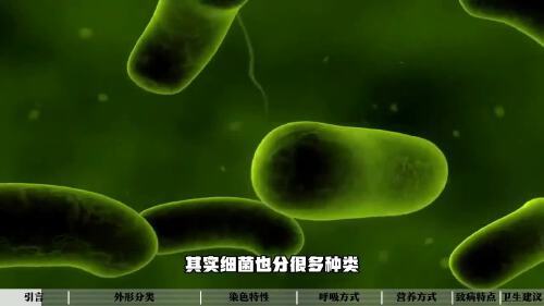 显微镜下的隐形王国:揭秘细菌家族的惊人分类!