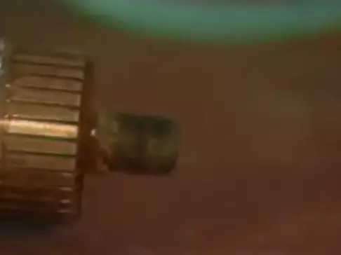 中级电工。维修电工技能实用技能培训03