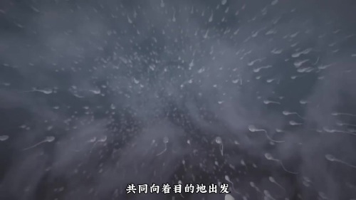 一口气看完生命诞生的全过程!从小蝌蚪开始到胎儿出生,简直太震