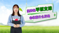 为什么建议你多做平板支撑?长期坚持,会出现什么样的效果?
