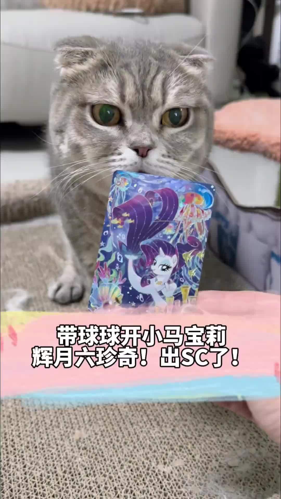 带球球开小马宝莉卡片,辉月六珍奇!出SC了!