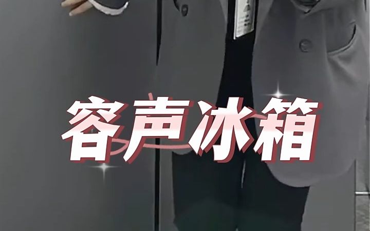 容声离子净味529升,变频一级能效对开门双开门冰箱!
