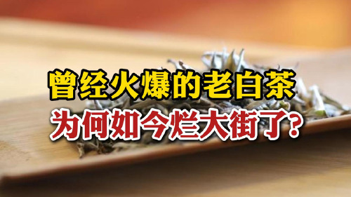 老白茶从爆红到滞销!10年库存堆积如山,昔日茶王为何无人问津?