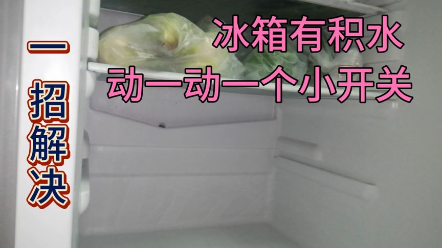 为什么冰箱有积水?有异味,动动里面一个小开关,问题立马解决