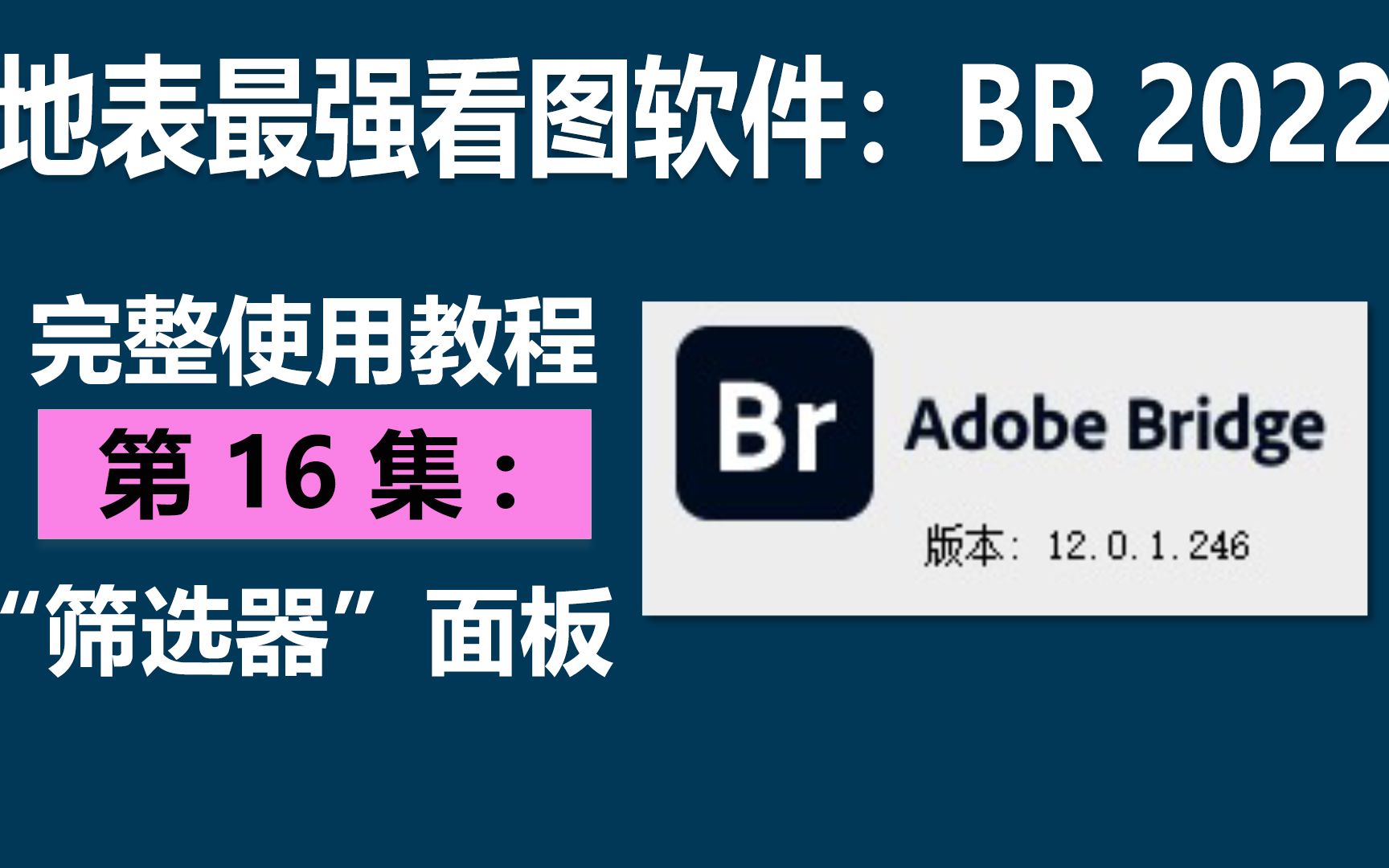 地表最强看图软件:BR2022完整教程第16集-"筛选器"面板
