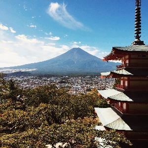 花落上野 
