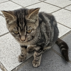 XM吆零吆肆 