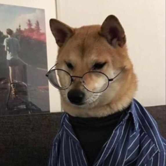 社会小哥学python 