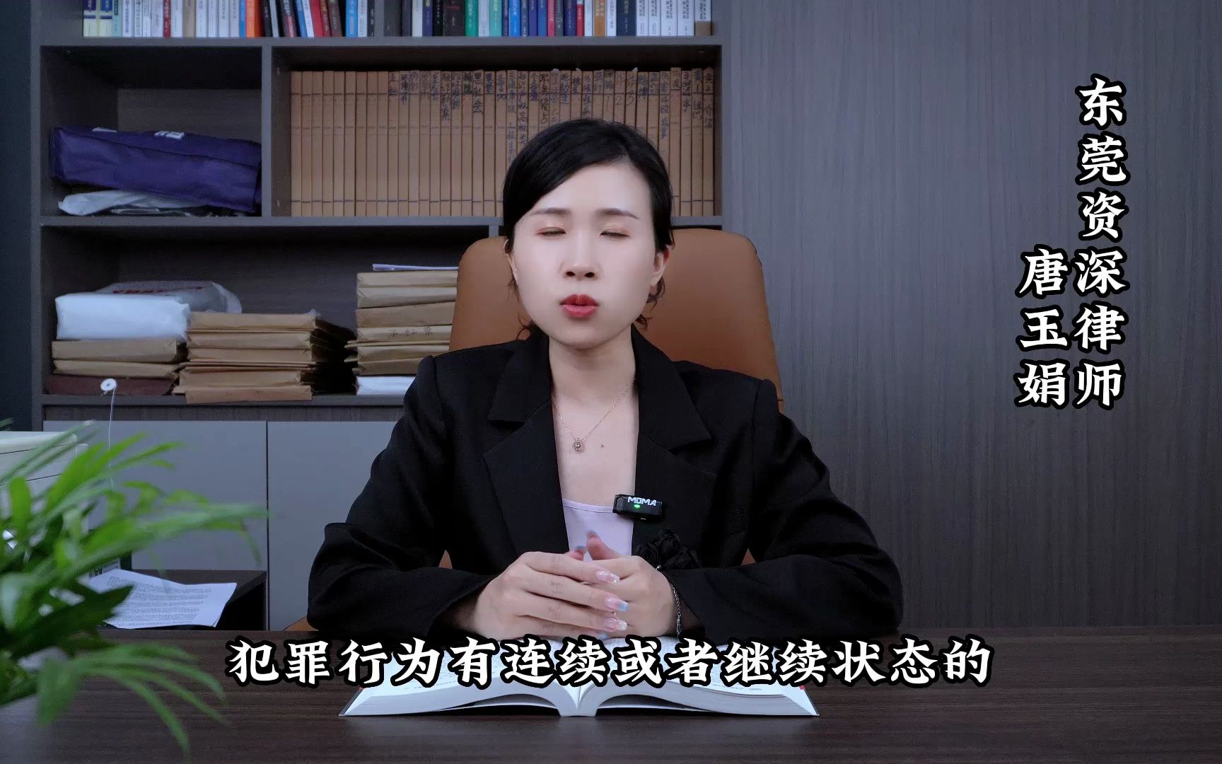东莞洪梅望牛墩中堂麻涌高埗刑事辩护律师-刑事案件追诉时效从什么...