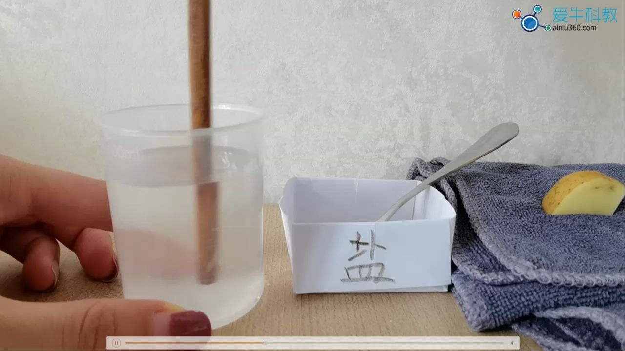 五下1.7马铃薯在液体中的沉浮