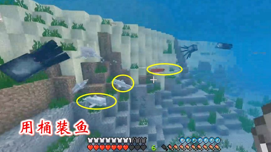 我的世界第二季9:海洋里有多种生物,我成功用水桶装了4桶鱼回家