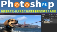 ps抠图基础方法视频：应用快选工具及套索编辑选区移动工具抠图
