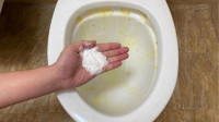 马桶里撒一把,不管多脏多厚的黄渍,冲冲立马干净,省钱又方便!
