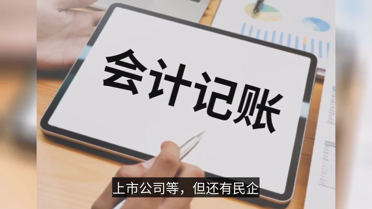 公司的账务还是要核算好,财政部门也要开始检查了