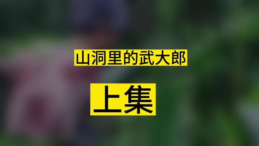 #真实案件记录 #刑侦档案 #悬疑案件 #真实事件 #上热门@上热门
