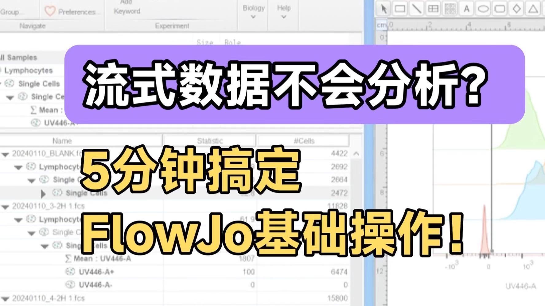 ✨【FlowJo流式数据处理教程 | 新手友好版】✨