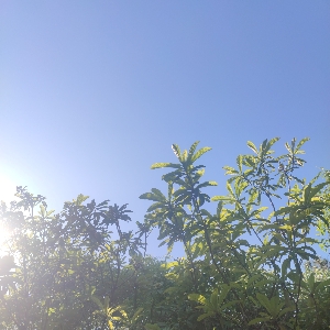 怎么这么好笑呀 