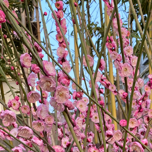 电工汪师傅 
