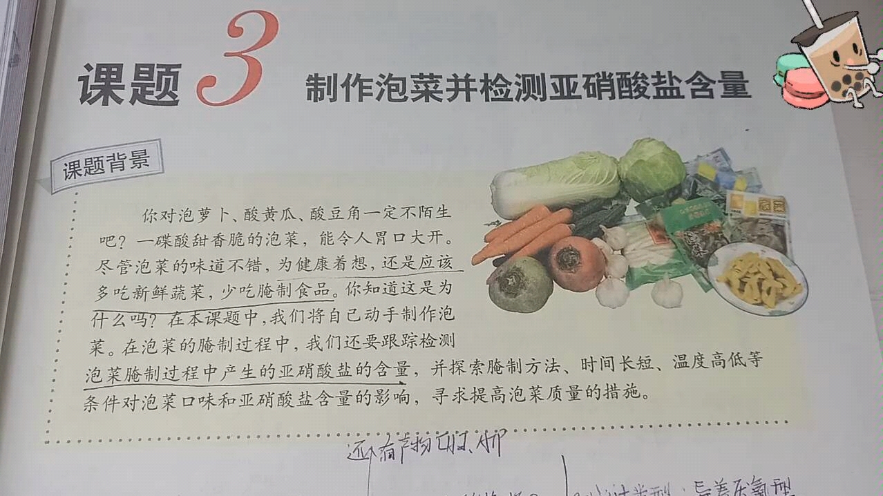 泡菜制作的原理