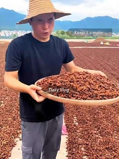 快快快,正宗广西八角上市了,无熏硫,做菜放一颗味道特别香 八角 广西...