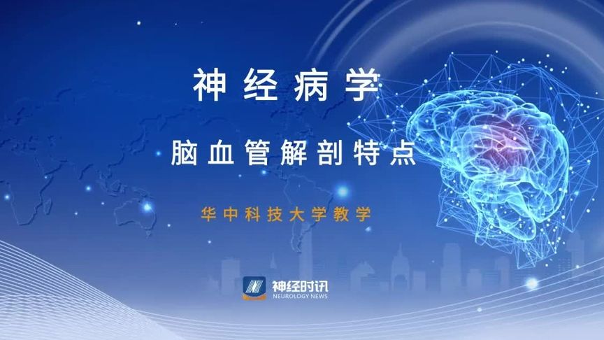 神经病学 - 脑血管解剖特点