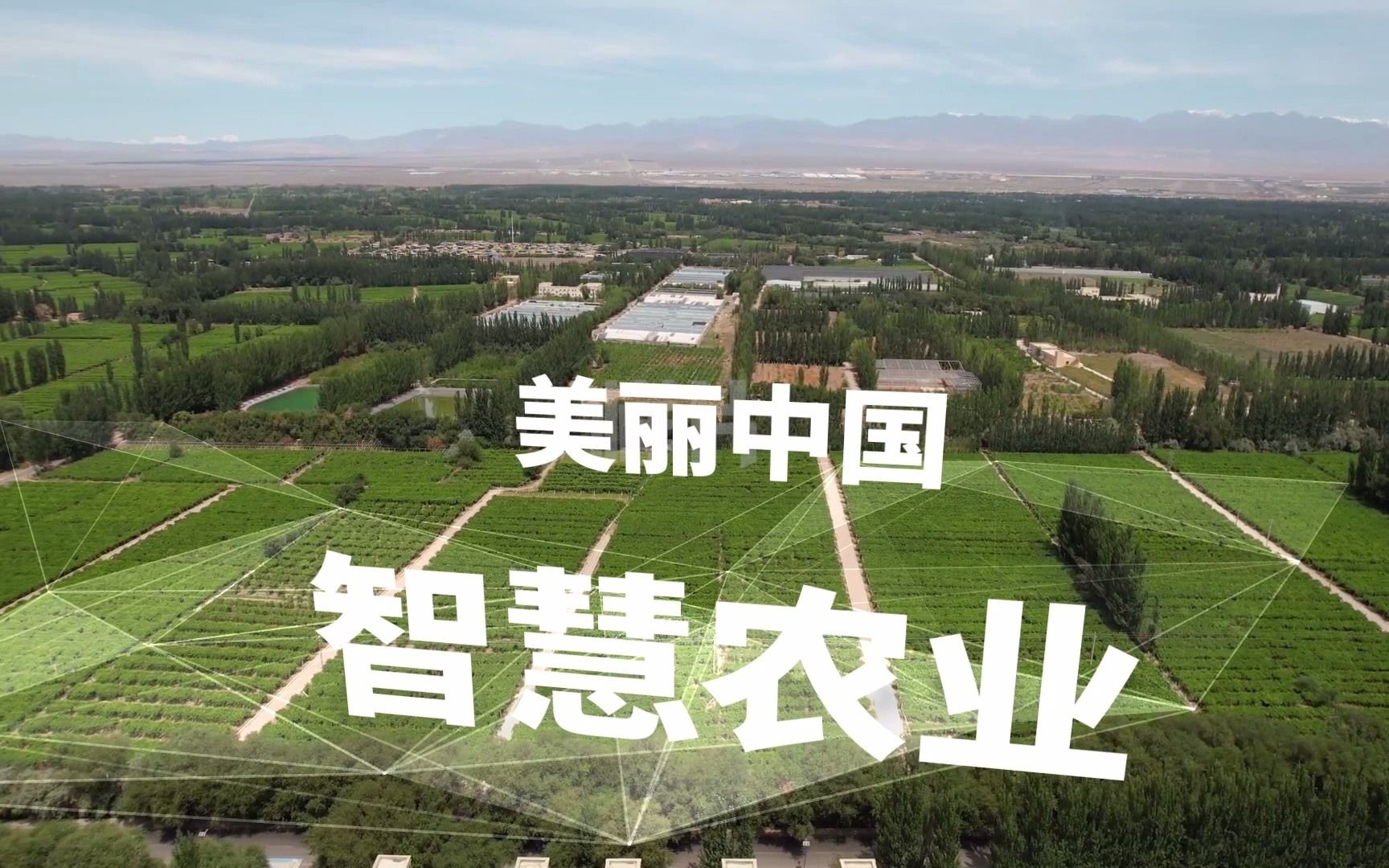 农业科技农业现代化乡村振兴宣传视频制作