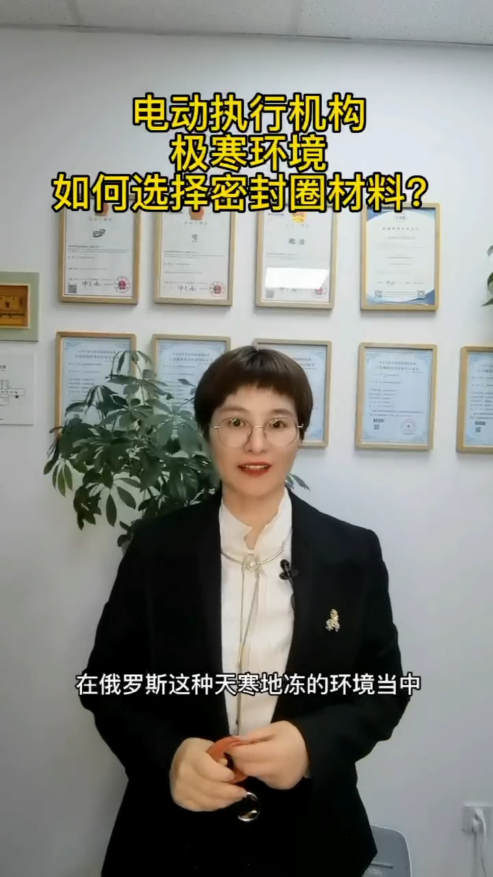 电动执行机构密封圈如何选? #电力行业密封圈 #密封圈 #石油化工密封...