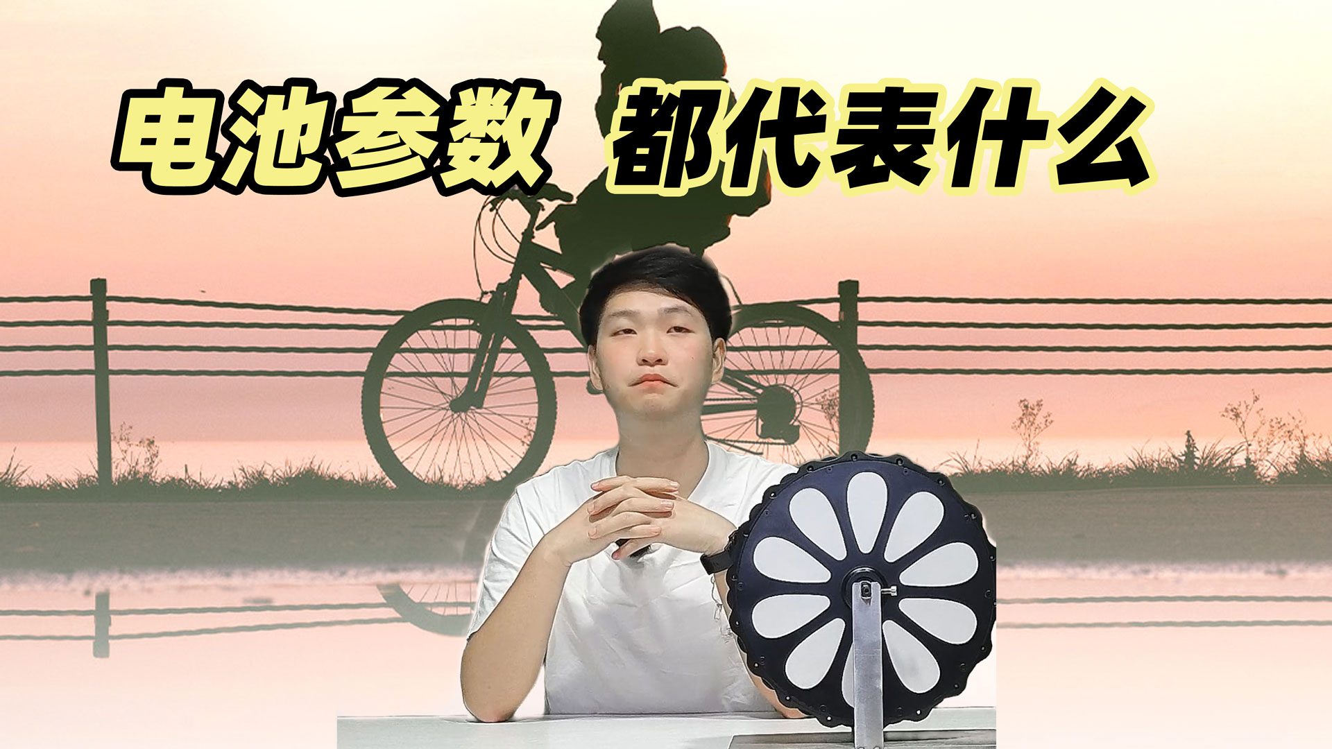 这些电池参数都代表什么