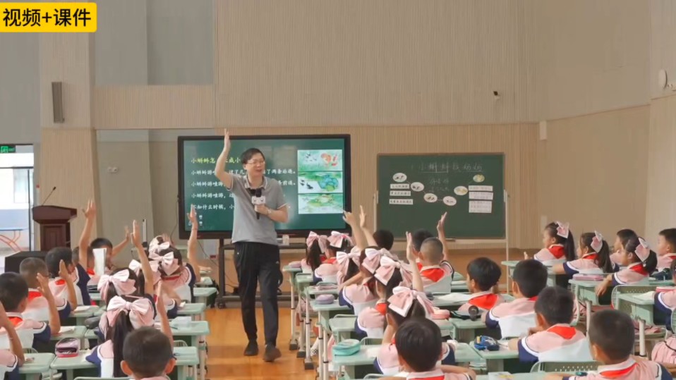 《小蝌蚪找妈妈》全国名师特级教师薛法根#公开课 #课堂实录 #小学...